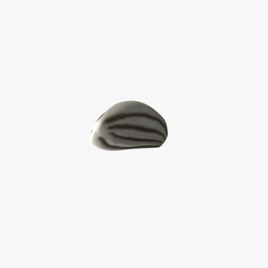 Free Obj Model Sunflower Seed