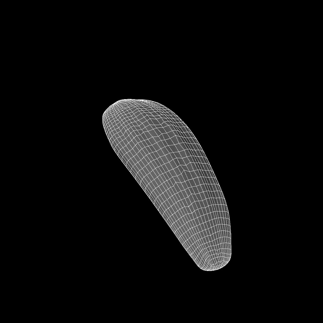 Free Obj Model Sunflower Seed