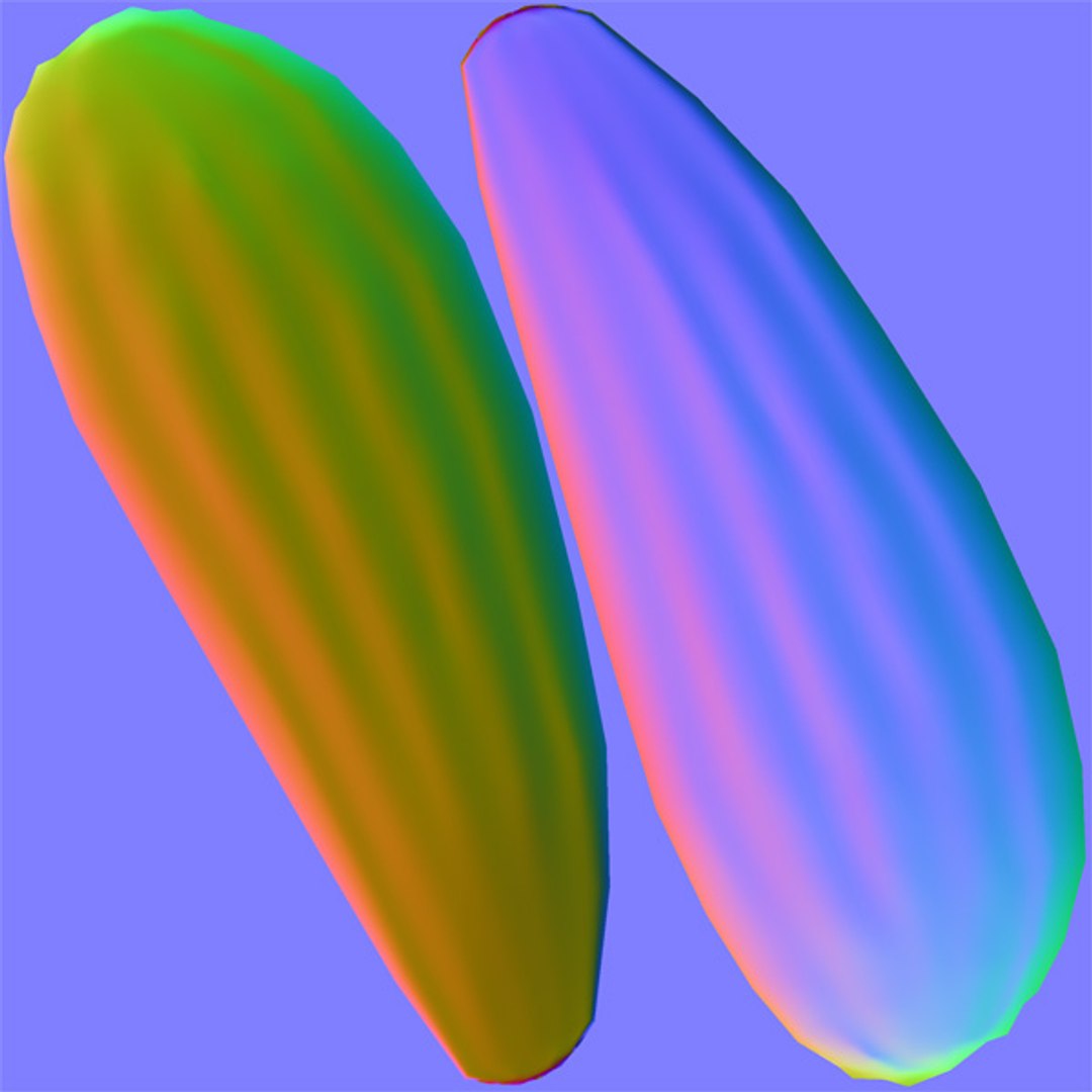 Free Obj Model Sunflower Seed