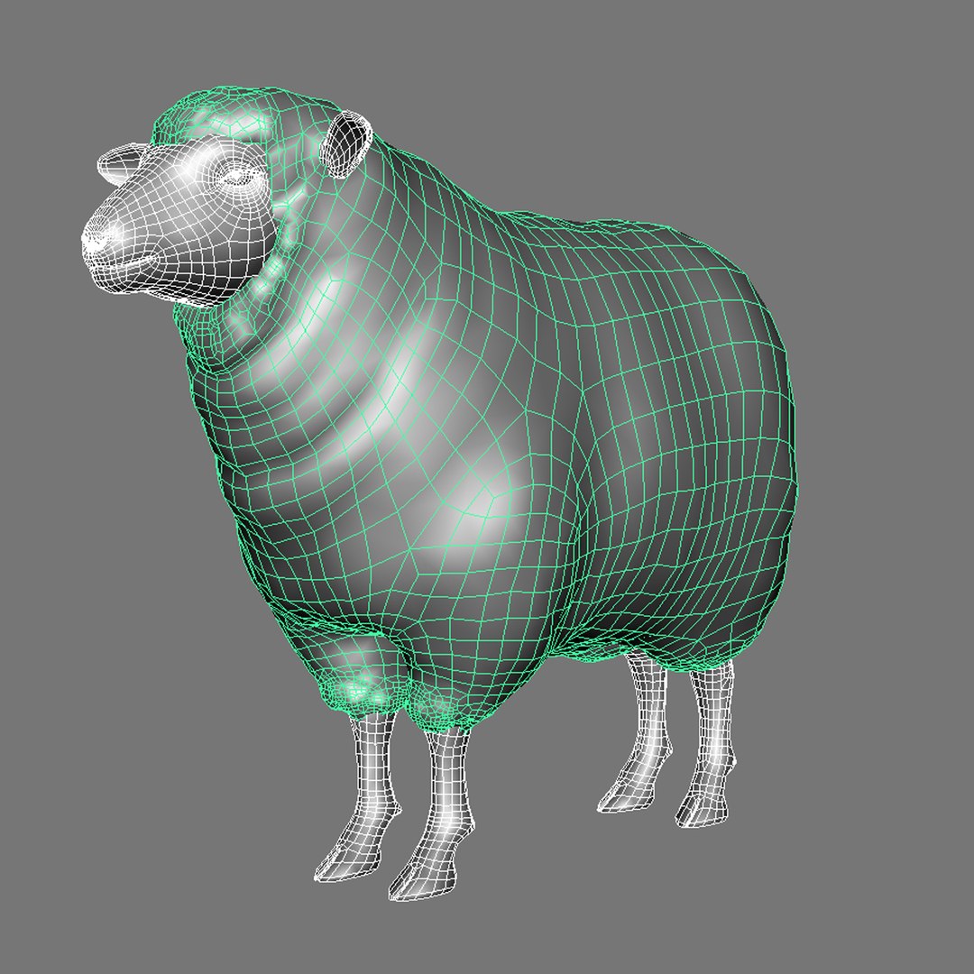 3d Model Sheep