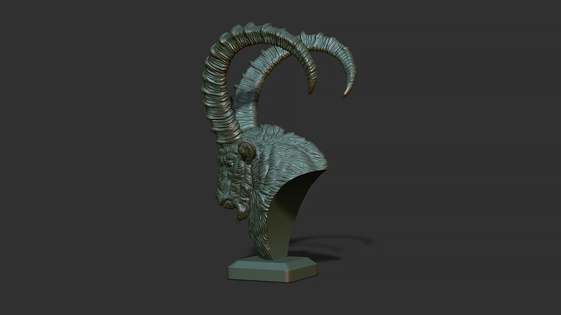 3D Model Nubian Ibex Bust - TurboSquid 2118413