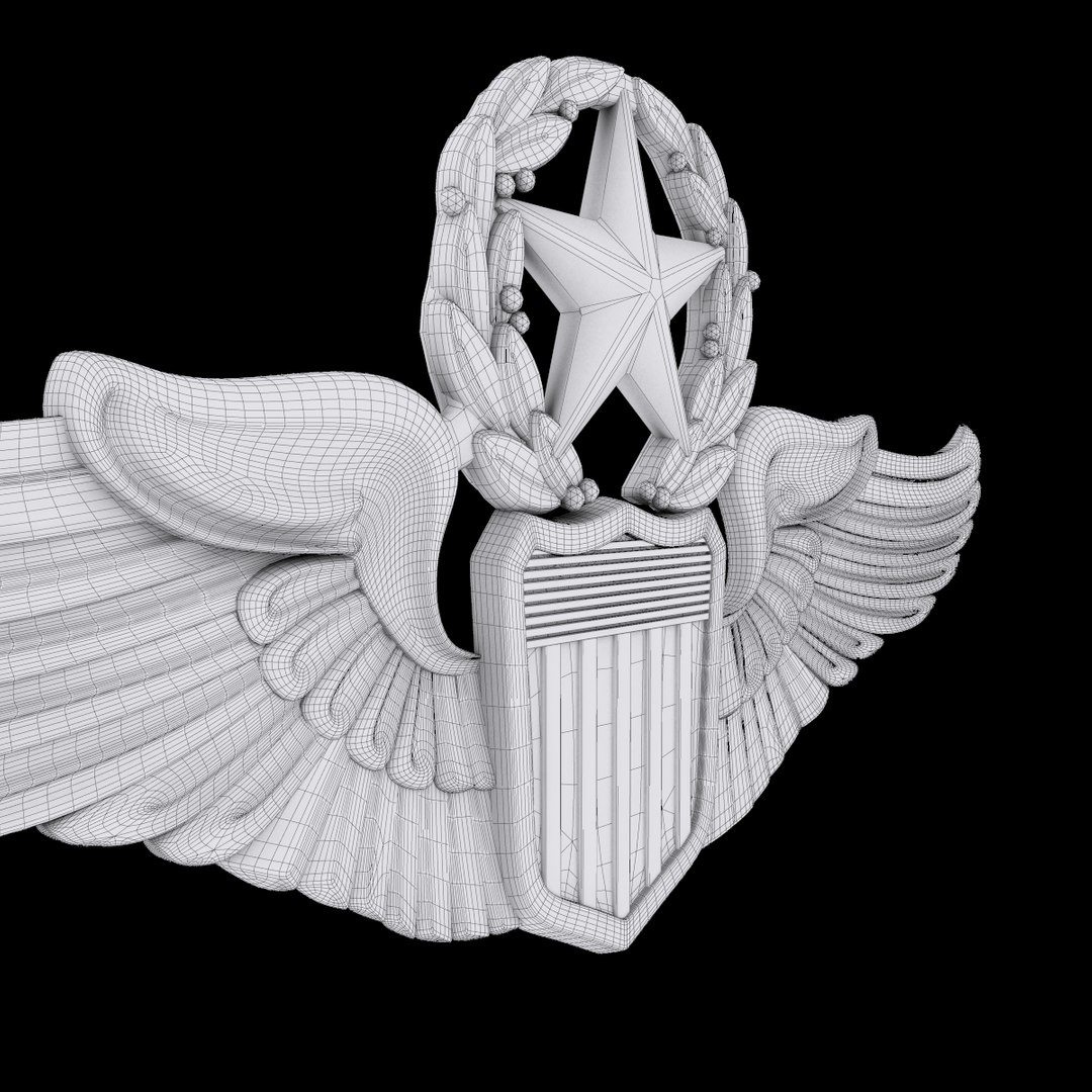 3D Usaaf Command Pilot Wings - TurboSquid 1293058