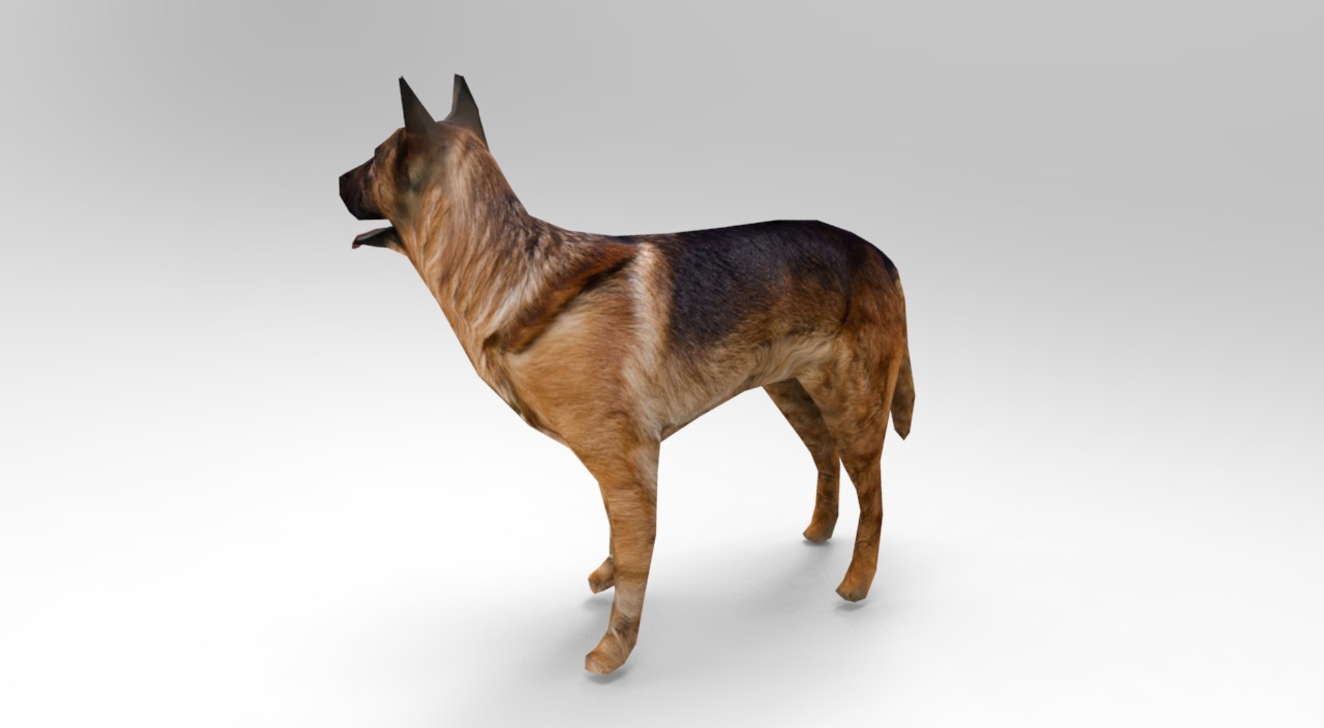 German Shepherd Dog Rigged 3D Model - TurboSquid 1204025