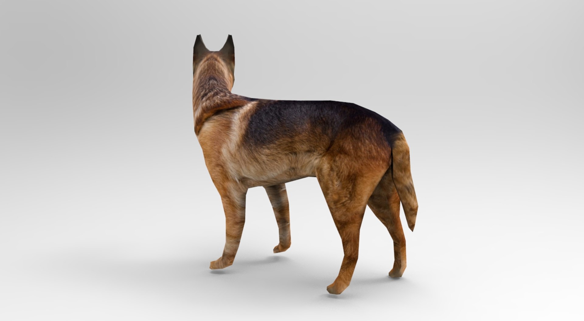 German Shepherd Dog Rigged 3D Model - TurboSquid 1204025