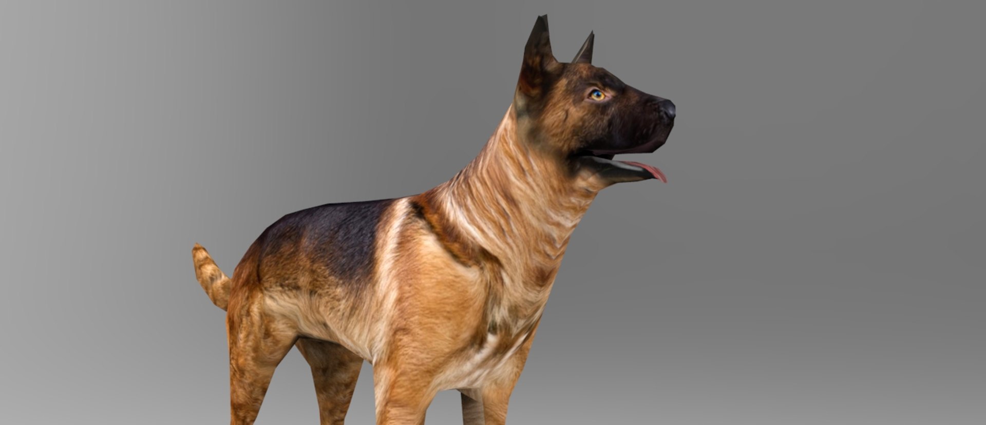 German Shepherd Dog Rigged 3D Model - TurboSquid 1204025