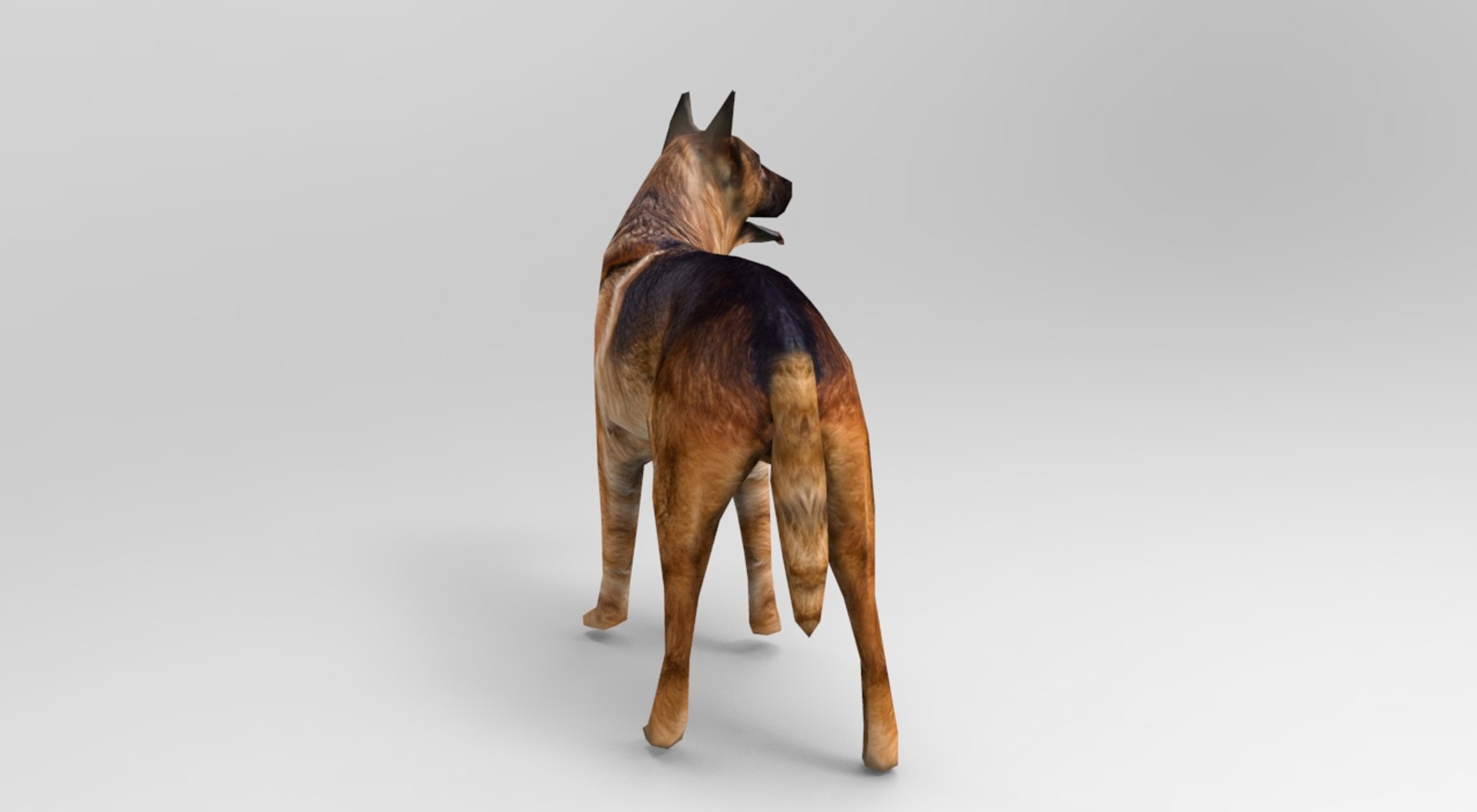 German Shepherd Dog Rigged 3D Model - TurboSquid 1204025