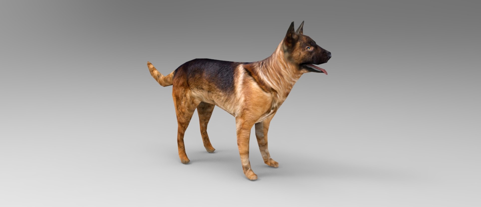 German Shepherd Dog Rigged 3D Model - TurboSquid 1204025