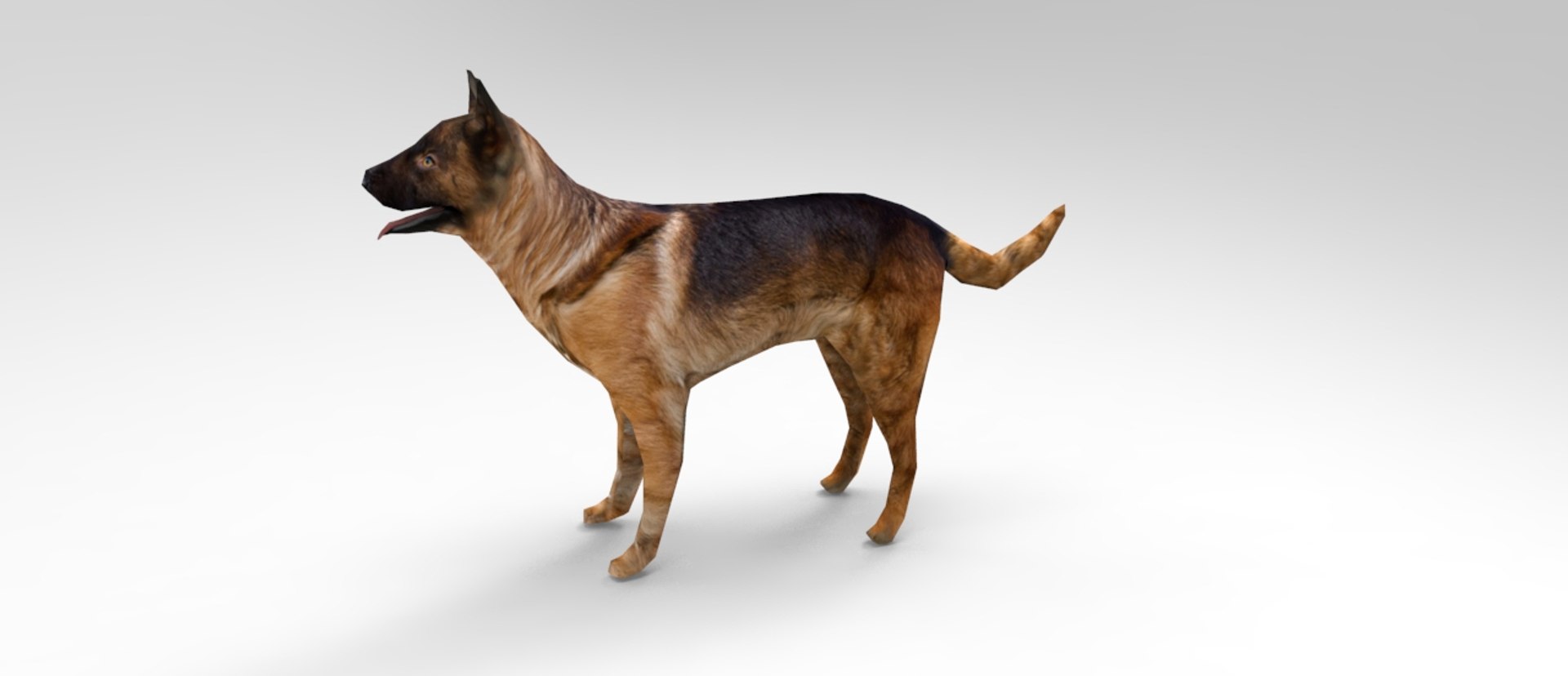 German Shepherd Dog Rigged 3D Model - TurboSquid 1204025