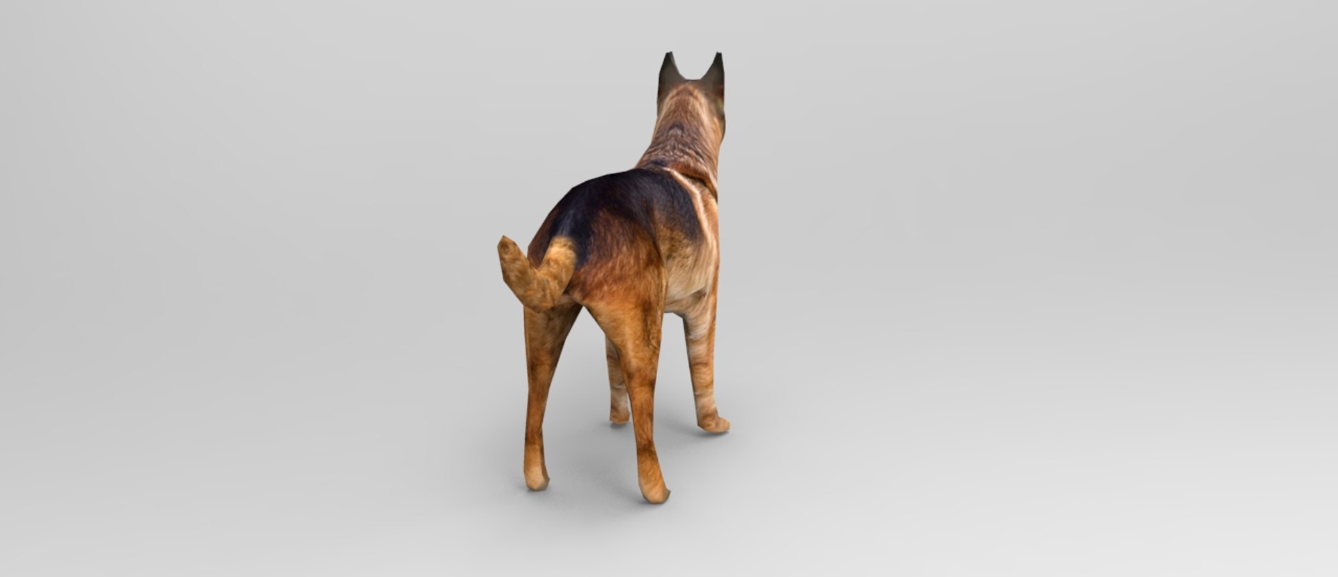 German Shepherd Dog Rigged 3D Model - TurboSquid 1204025
