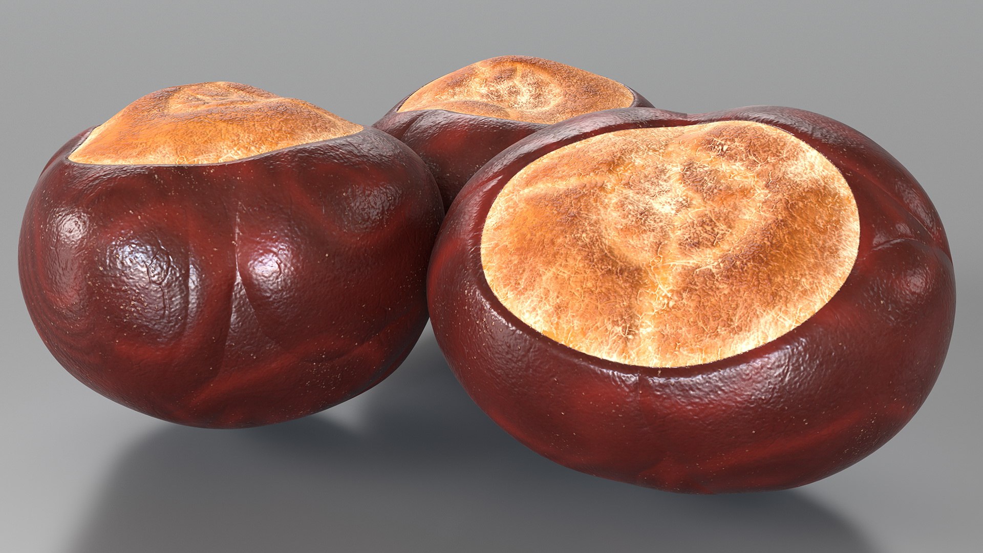 Chestnut Seed Nut 3D Model - TurboSquid 1486866
