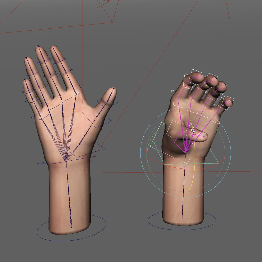 Rigged Male Hand Max