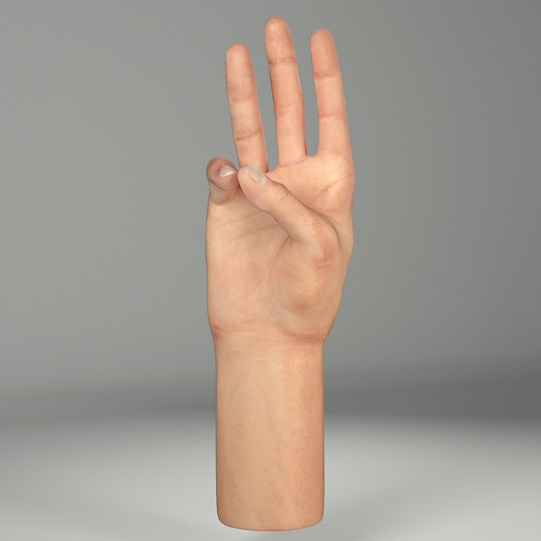 Rigged Male Hand Max