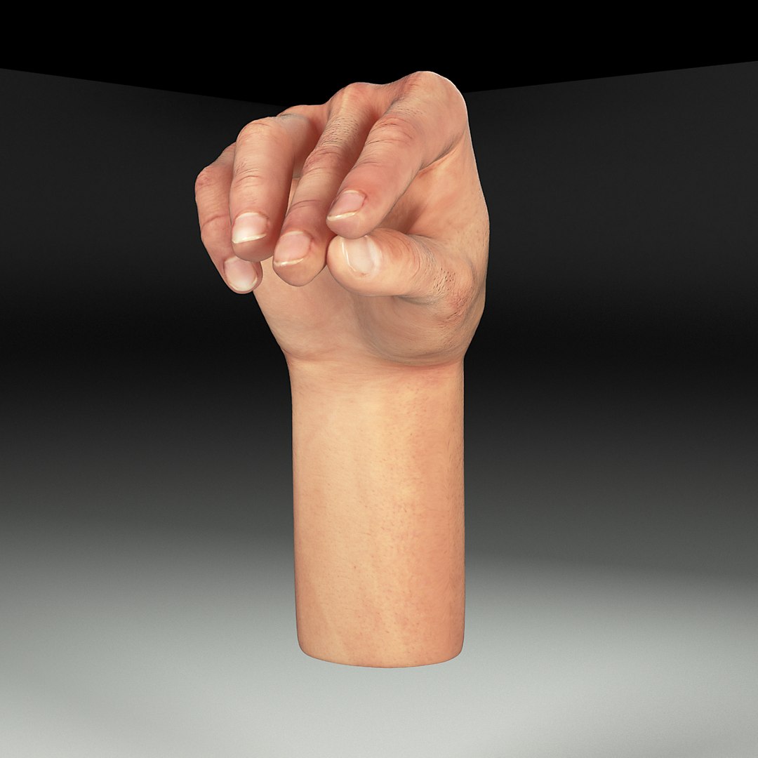 Rigged Male Hand Max