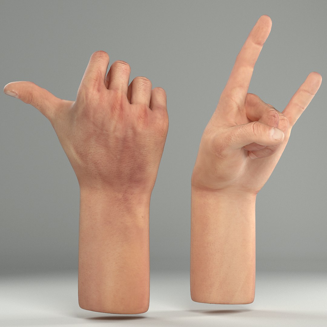 Rigged Male Hand Max