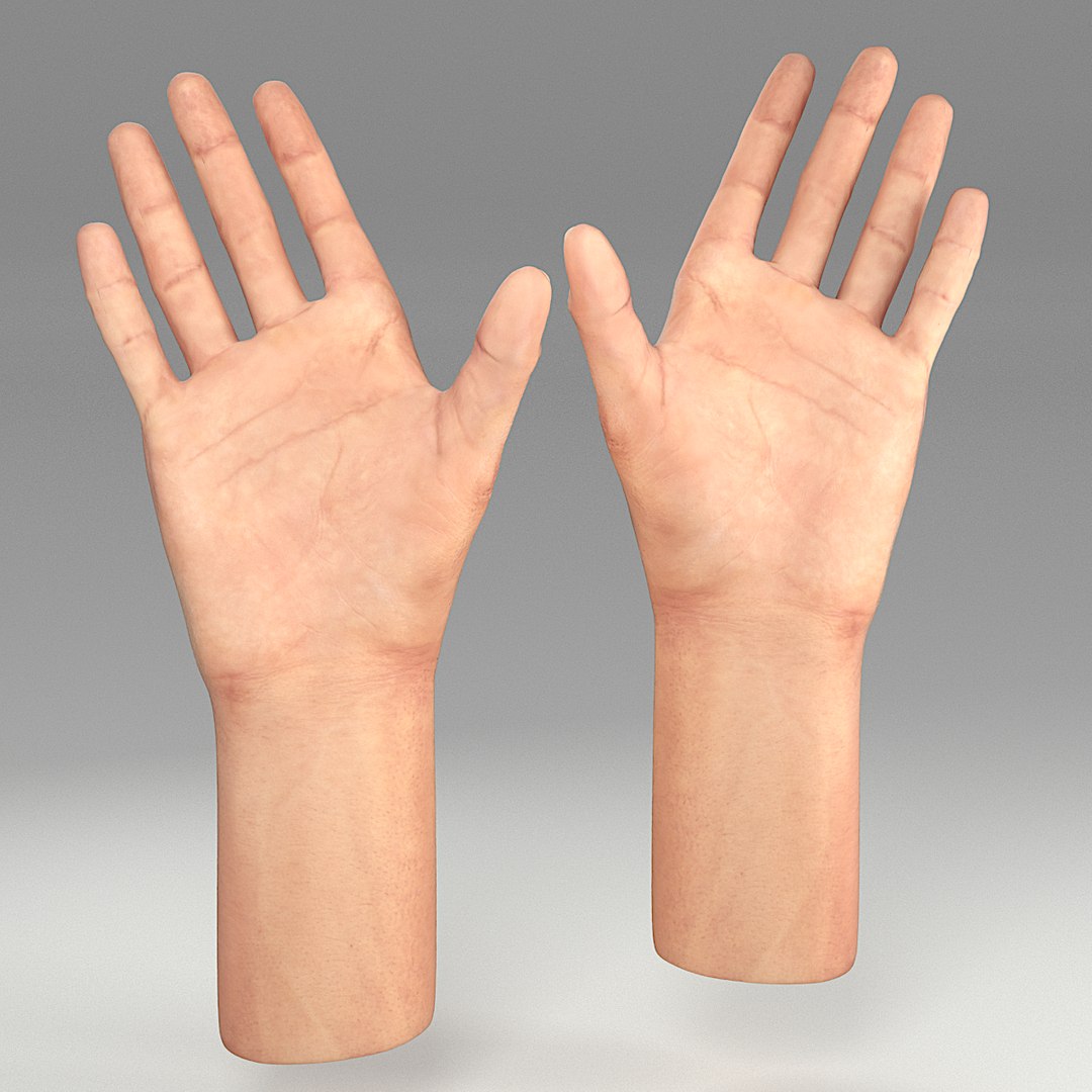 Rigged Male Hand Max