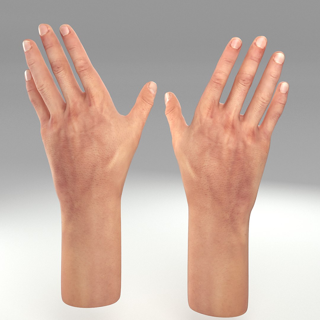 Rigged Male Hand Max