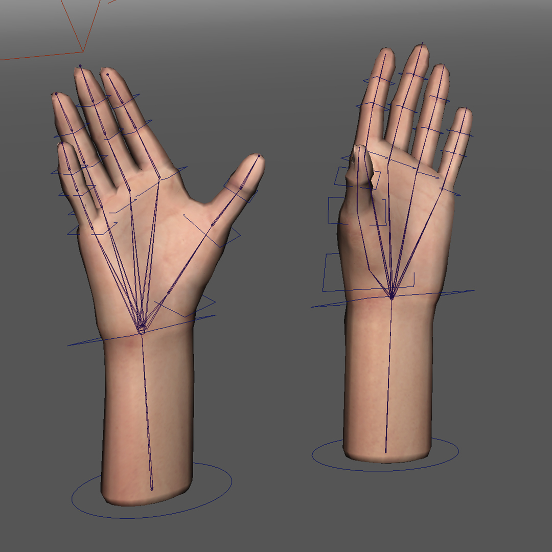 rigged male hand max
