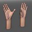 Rigged Male Hand Max