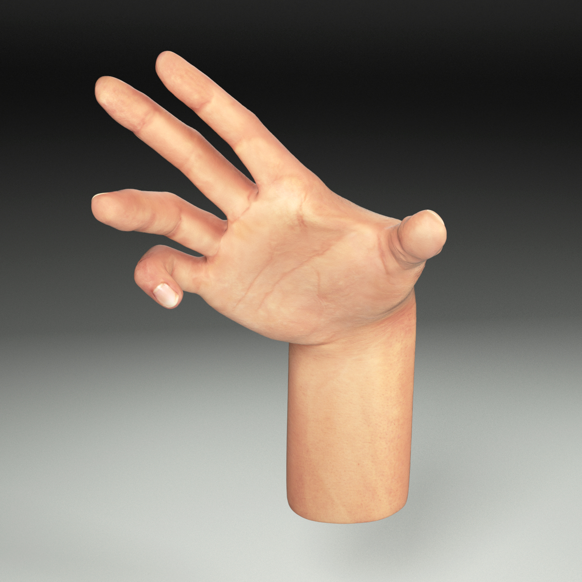 rigged male hand max