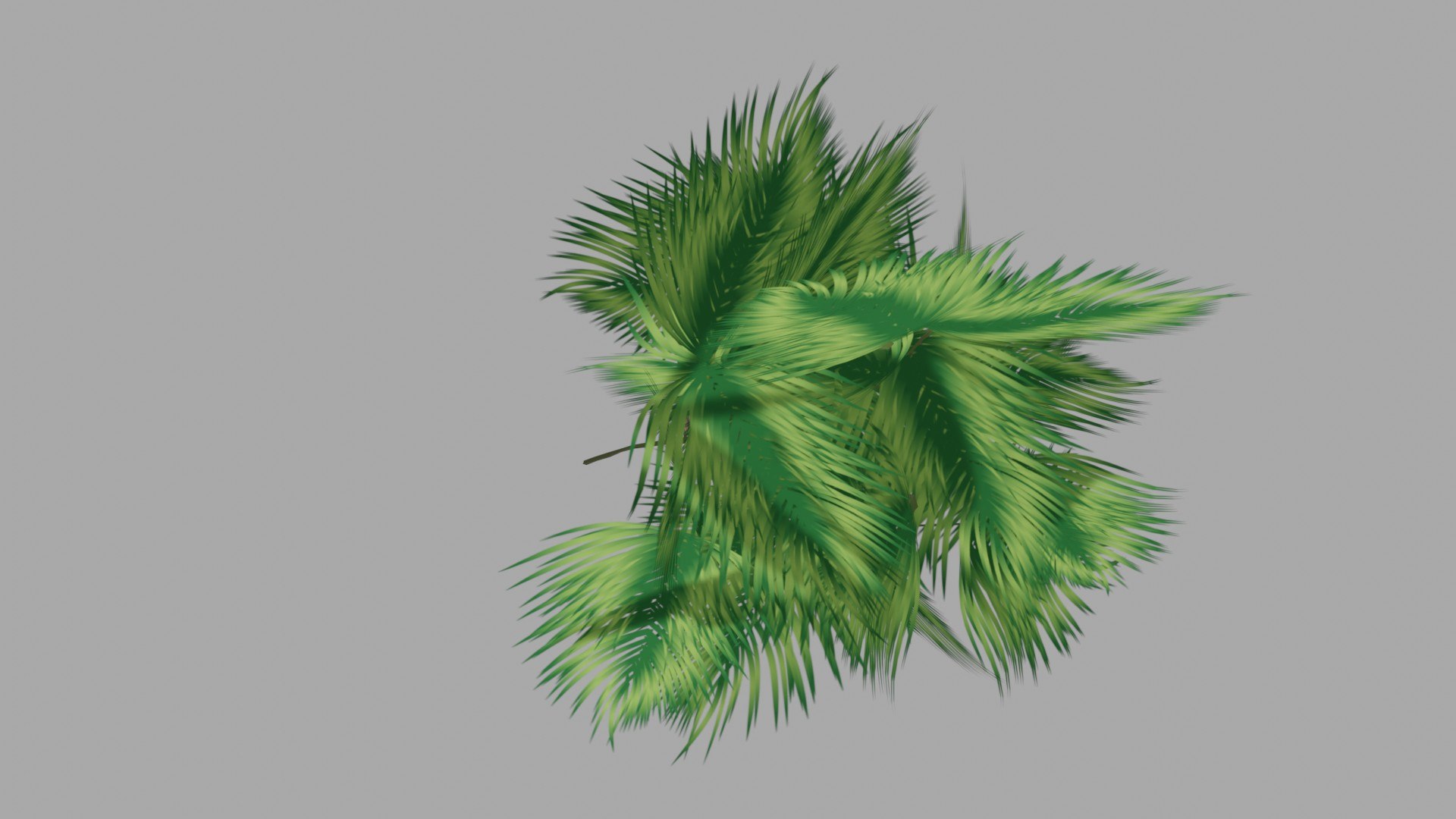 3D Palm - TurboSquid 2090906