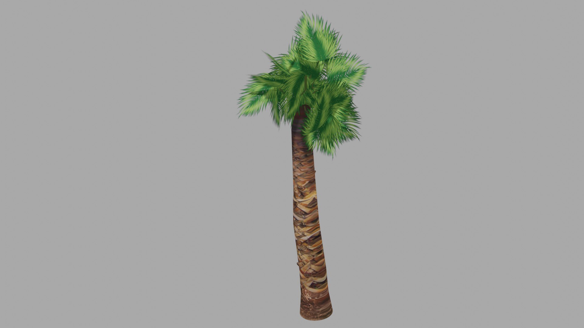 3D Palm - TurboSquid 2090906