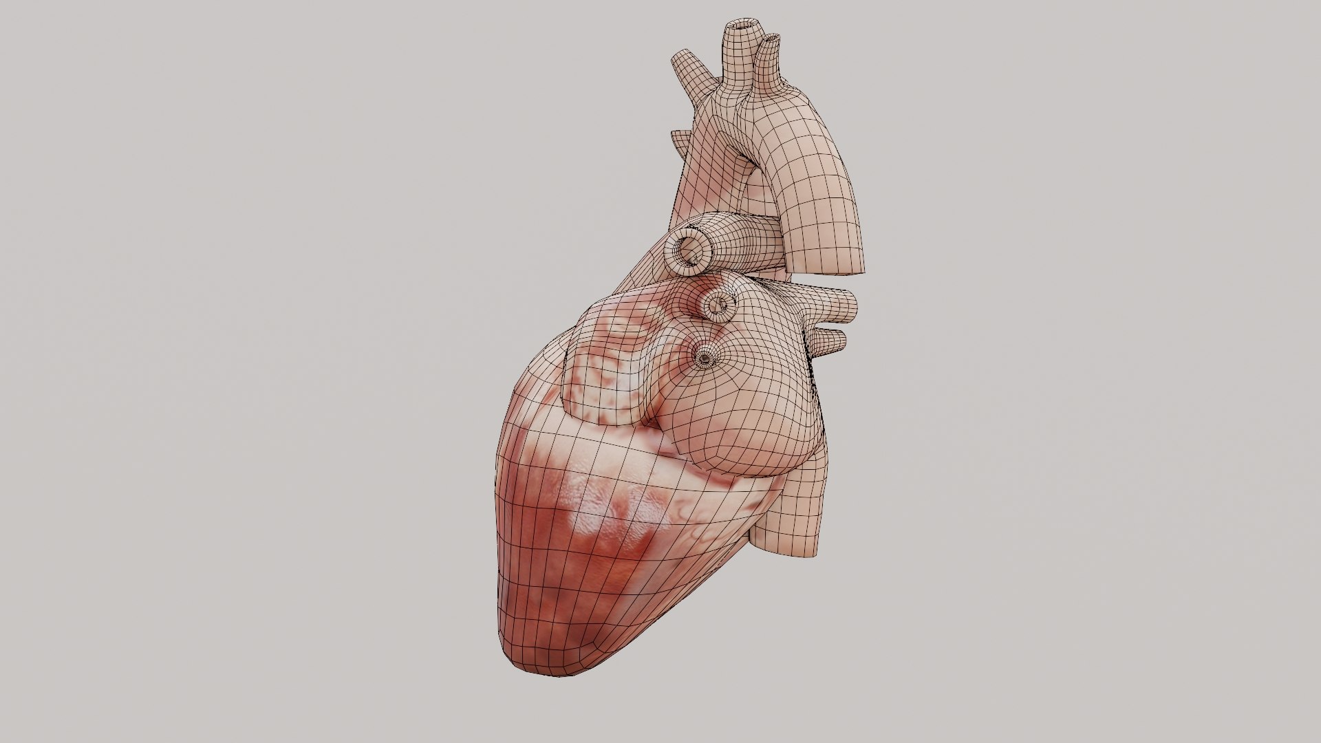 Real Low Poly Human Heart Animated 3D Model - TurboSquid 2079422