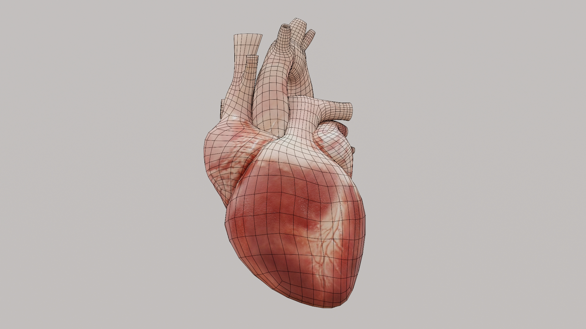 Real Low Poly Human Heart Animated 3D Model - TurboSquid 2079422