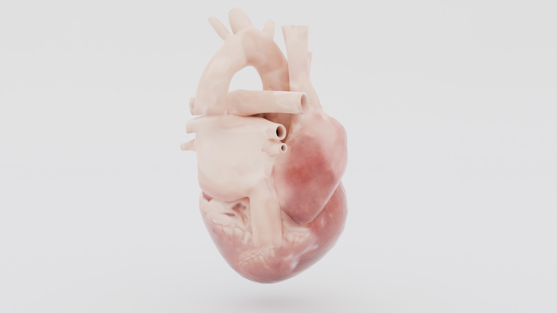 Real Low Poly Human Heart Animated 3D Model - TurboSquid 2079422
