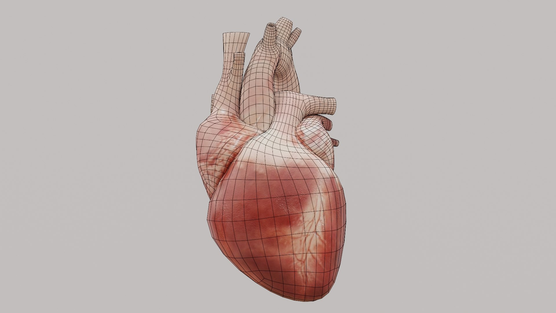 Real Low Poly Human Heart Animated 3D Model - TurboSquid 2079422