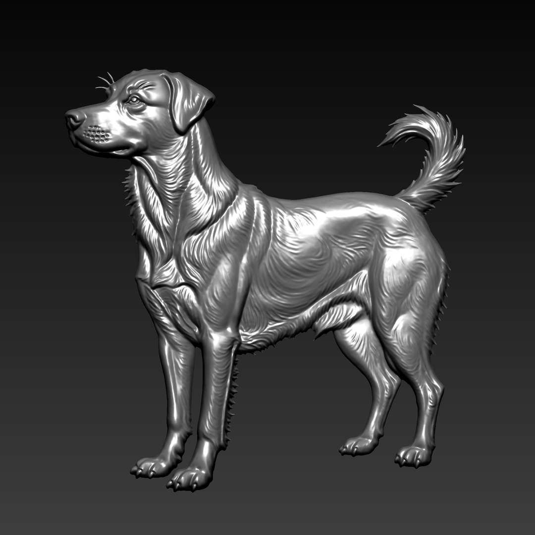 Dog Bas-relief 3D Model - TurboSquid 2440884