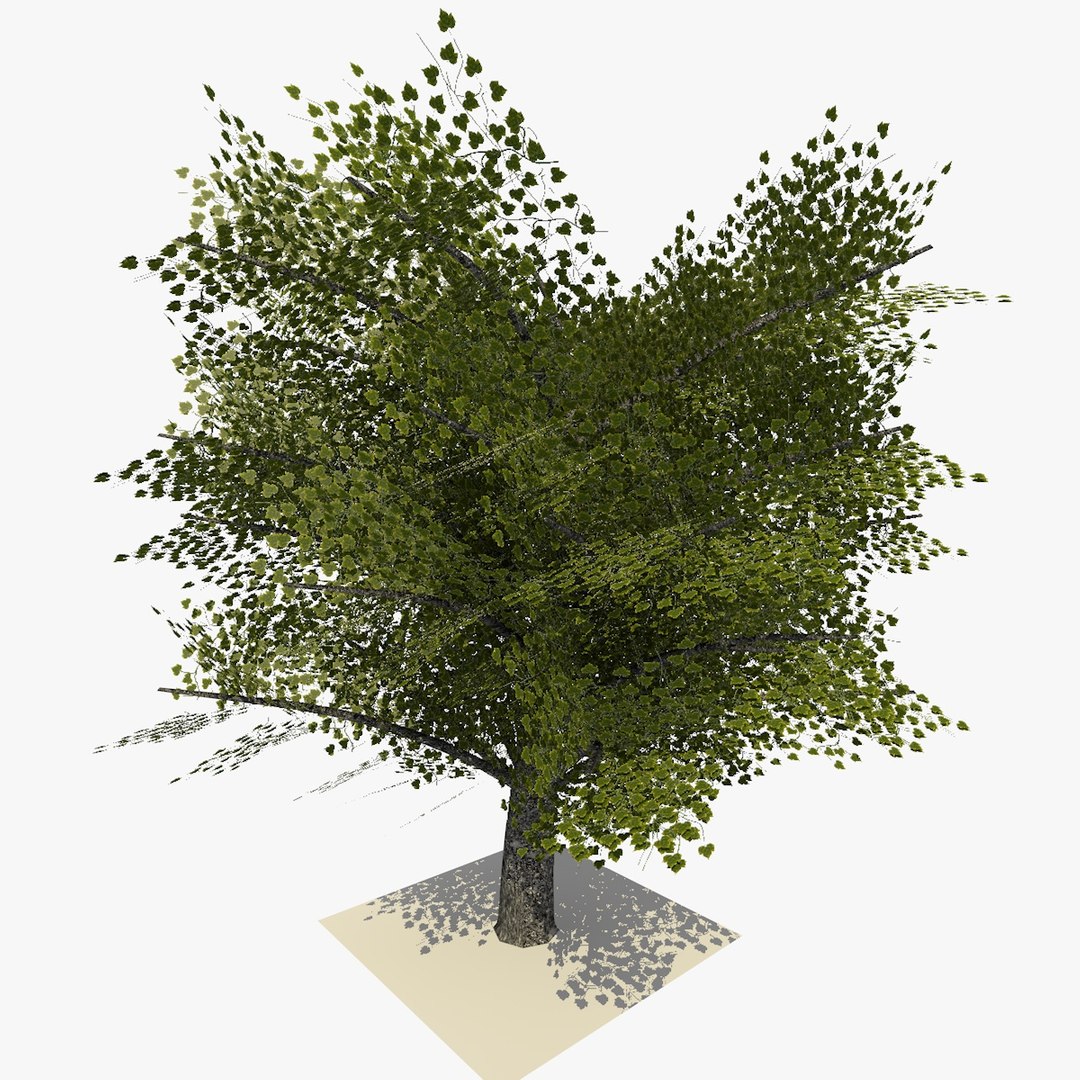Realistic Tree Version 1 3d Model