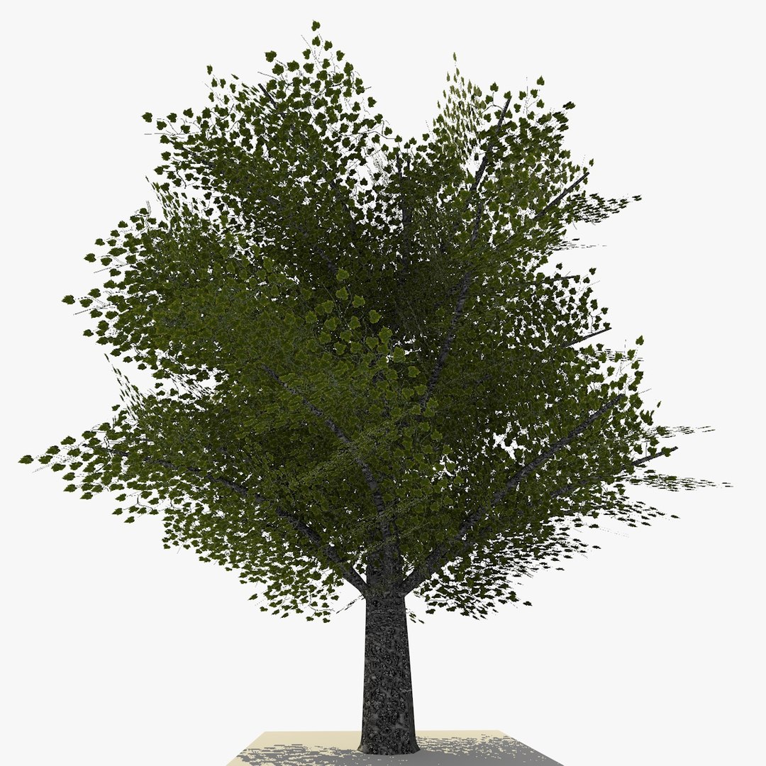 Realistic Tree Version 1 3d Model