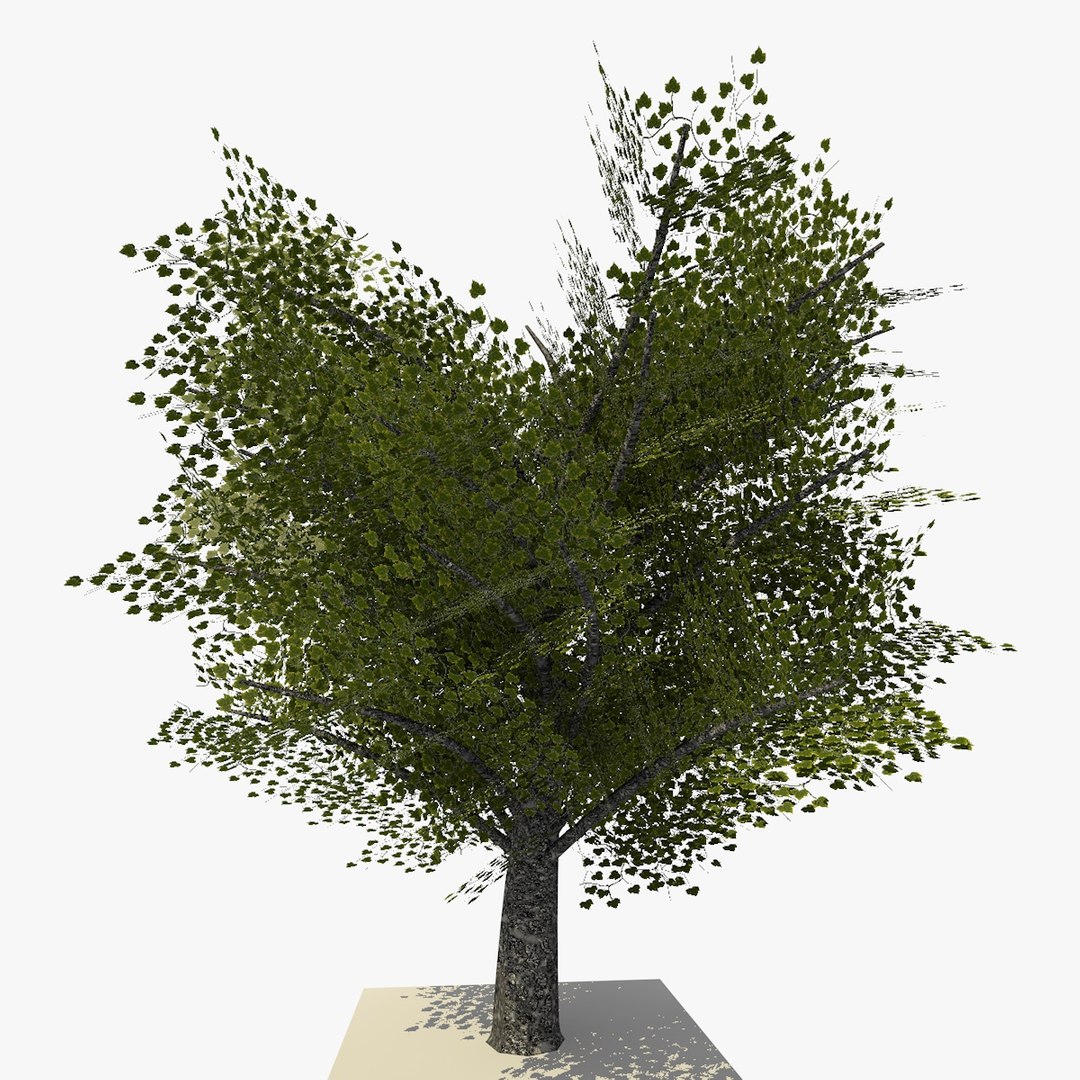 Realistic Tree Version 1 3d Model