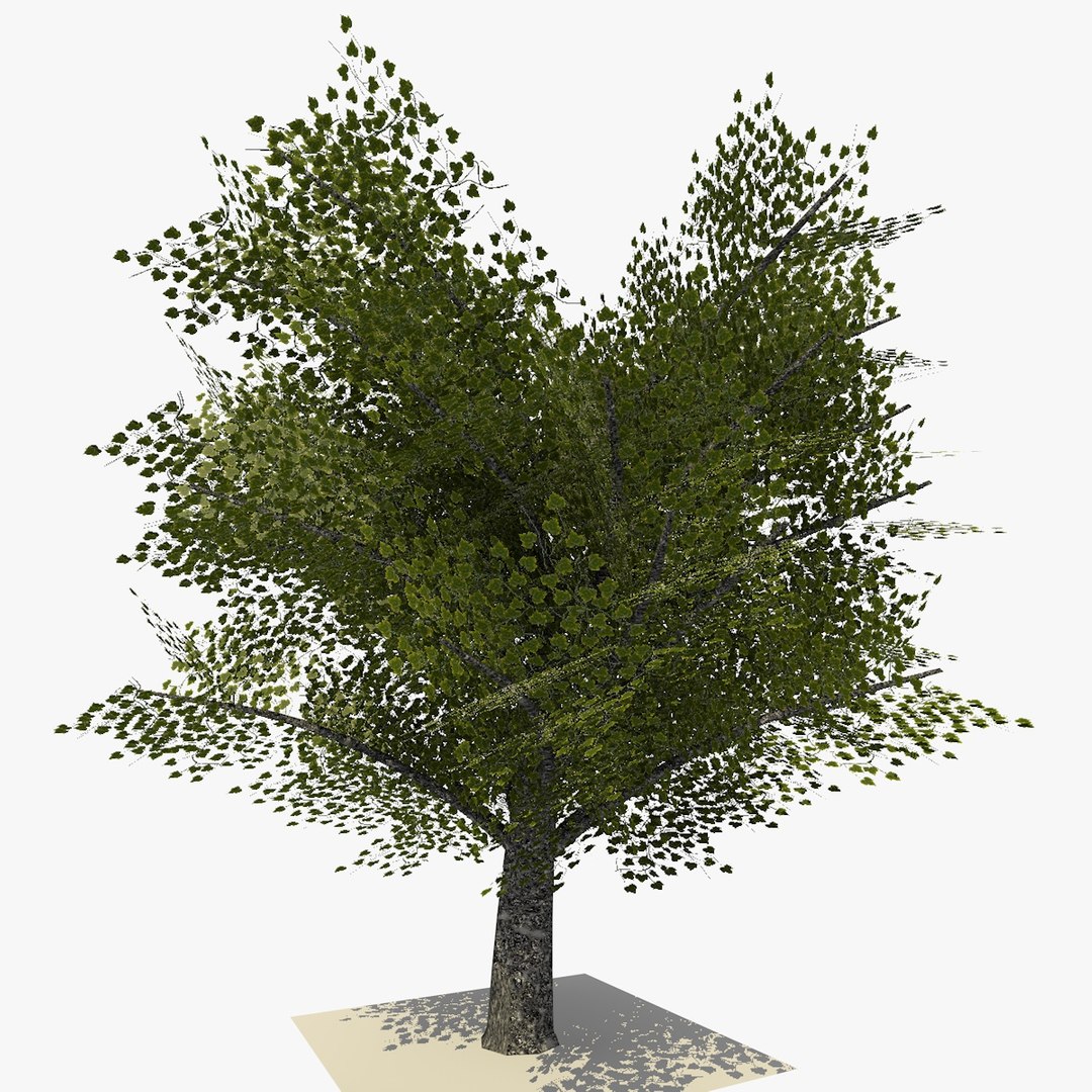 Realistic Tree Version 1 3d Model