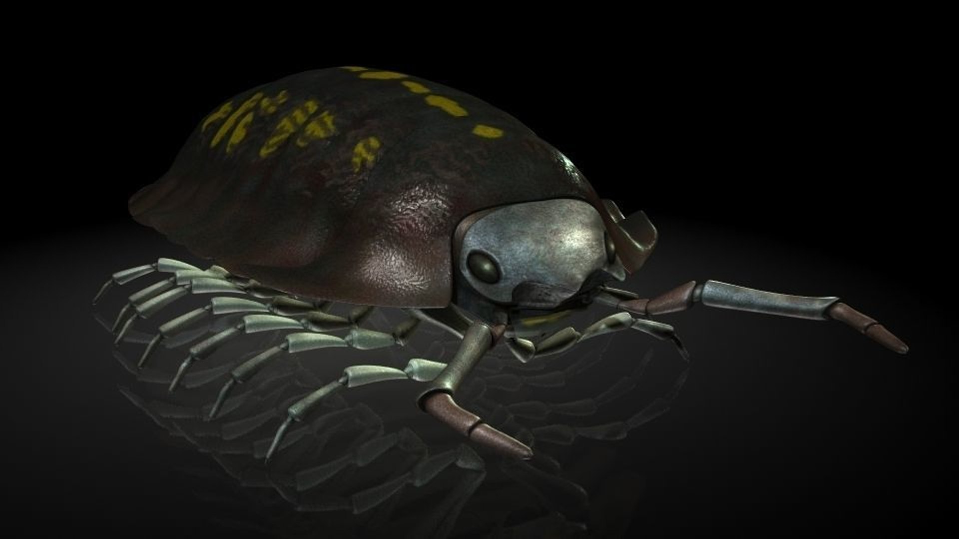 Insect Model - TurboSquid 1214948