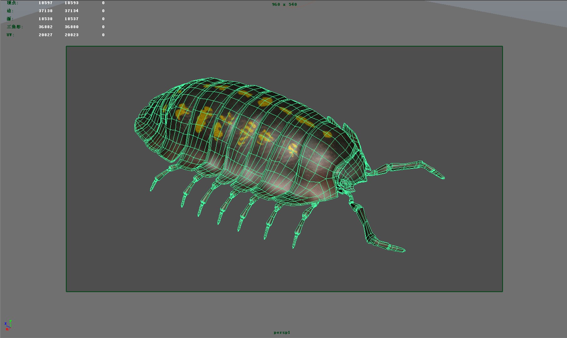 Insect Model - TurboSquid 1214948