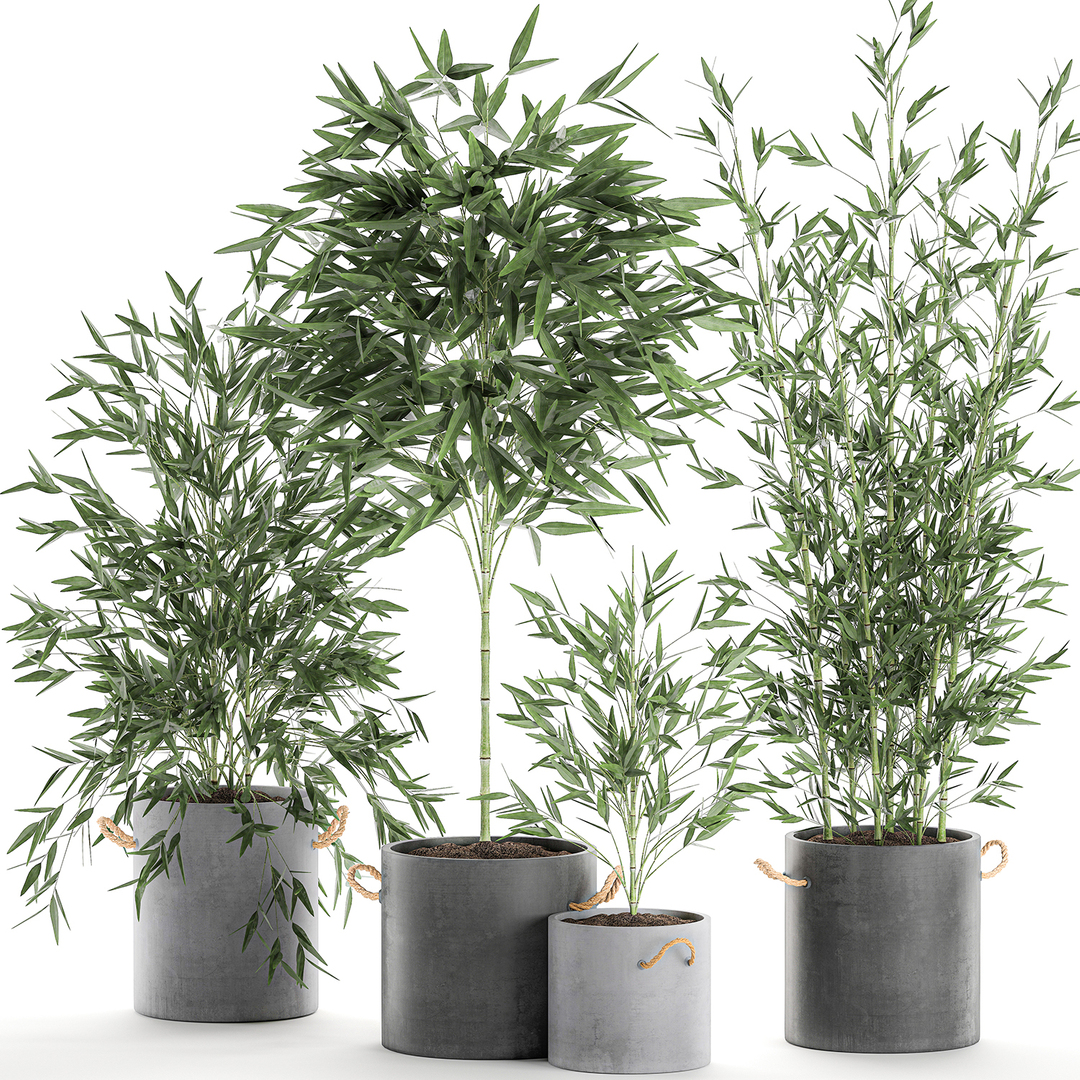 3D model bamboo bush interior black - TurboSquid 1580202