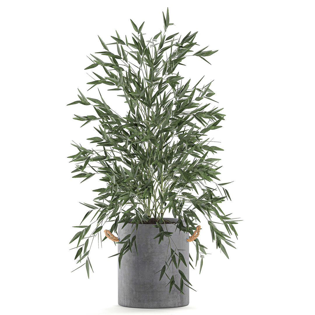 3D model bamboo bush interior black - TurboSquid 1580202
