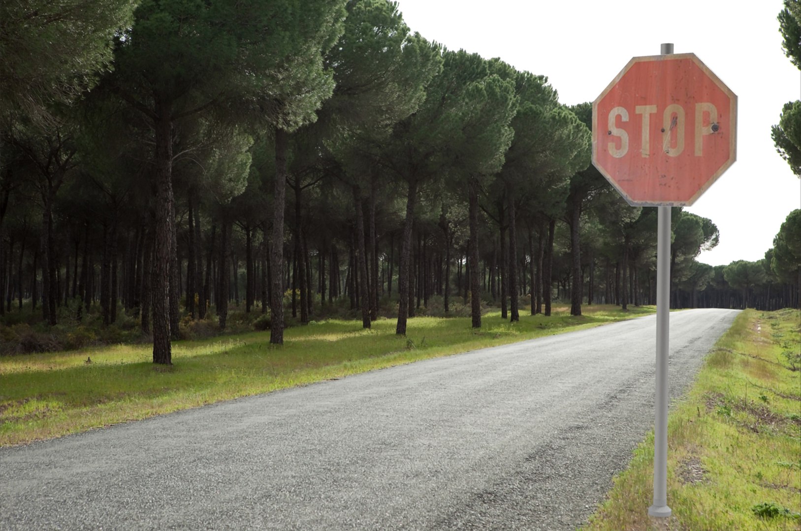 3D Road Sing STOP Model - TurboSquid 1864219