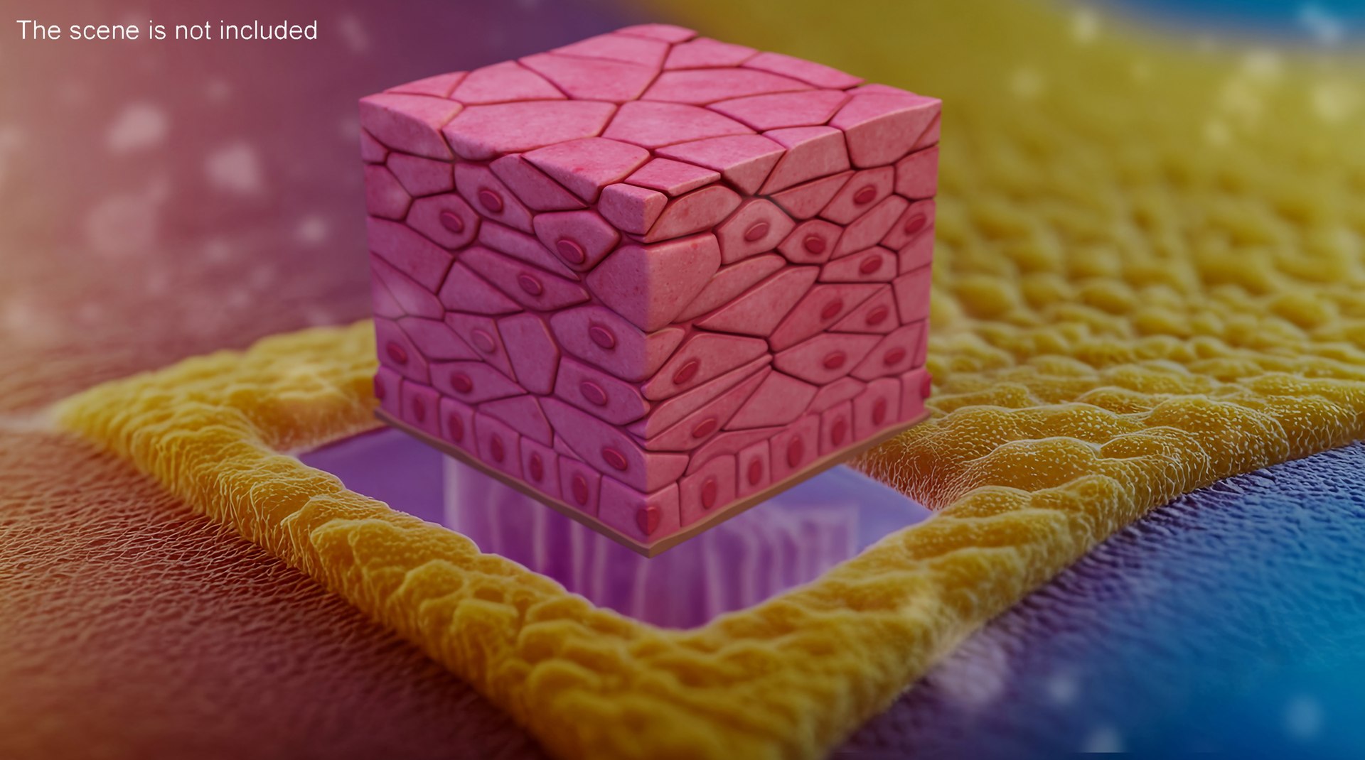 3D Stratified Epithelium For 3D Print - TurboSquid 2344626