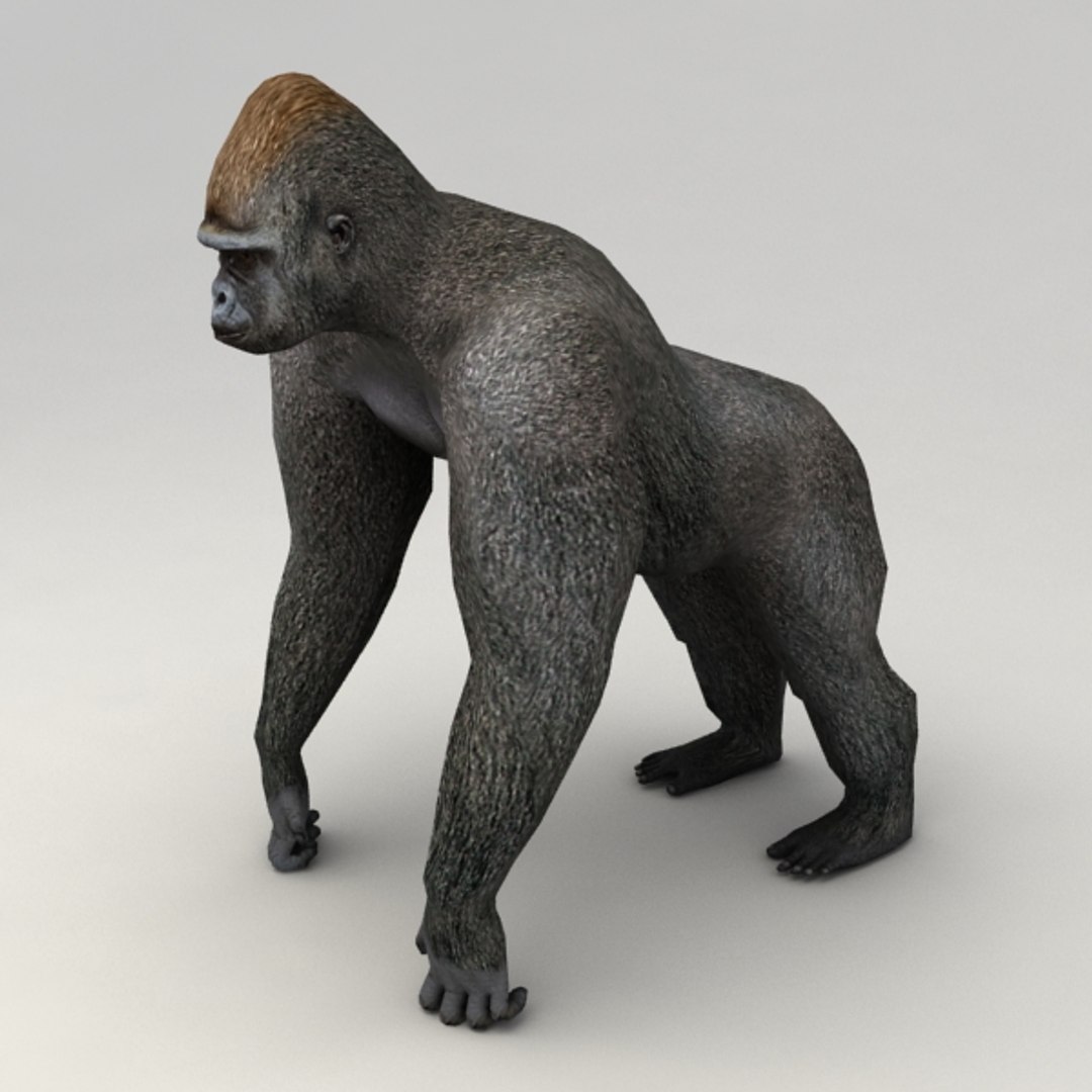 Gorilla Rigged Biped 3d Max