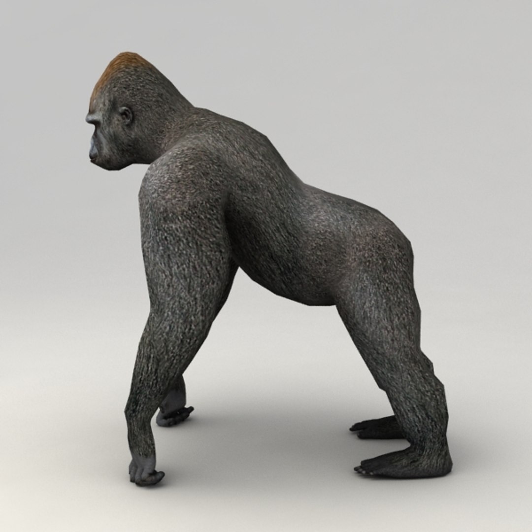 Gorilla Rigged Biped 3d Max