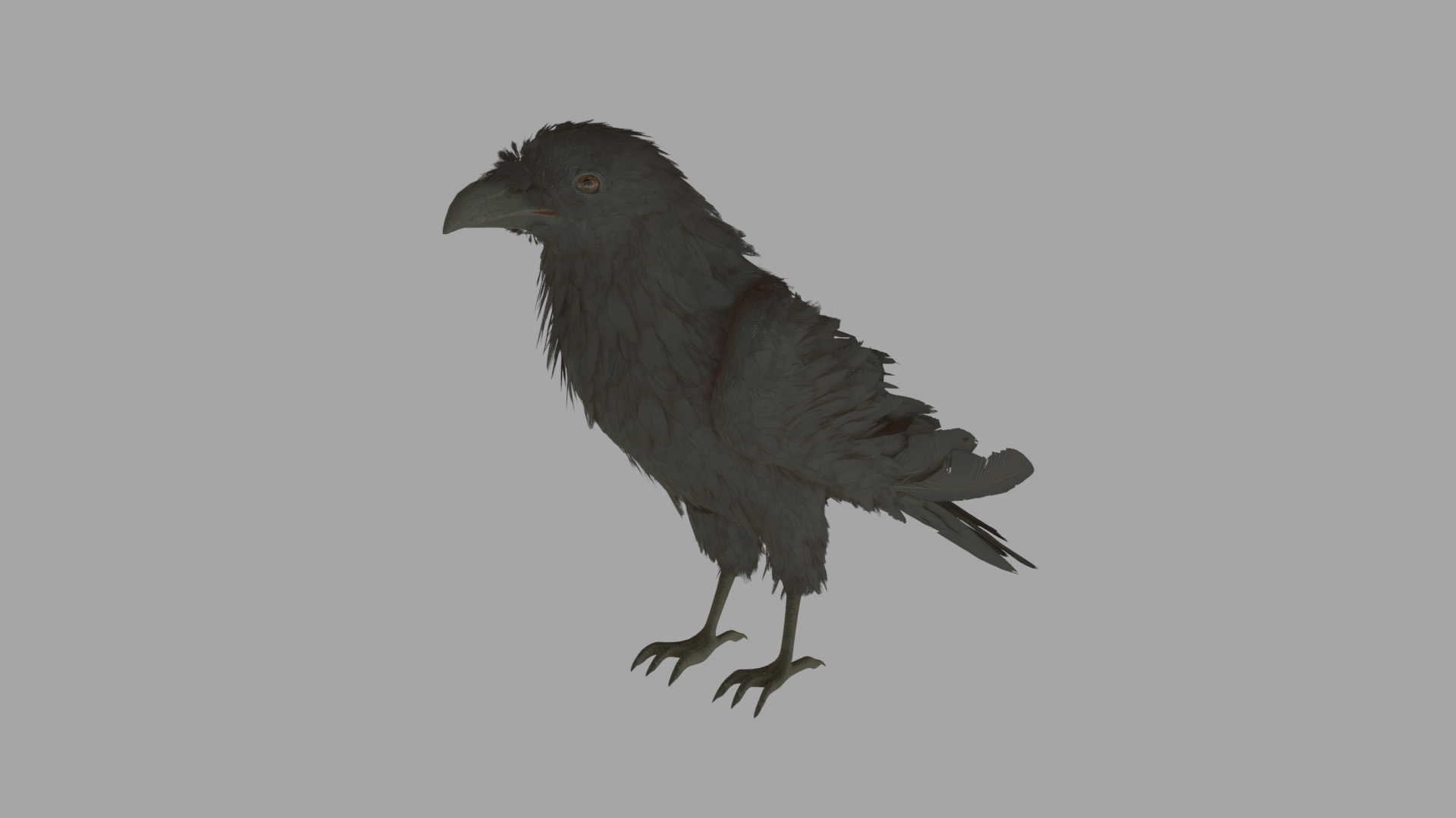 3D Raven Pbr Materials Animation Model - TurboSquid 1582275
