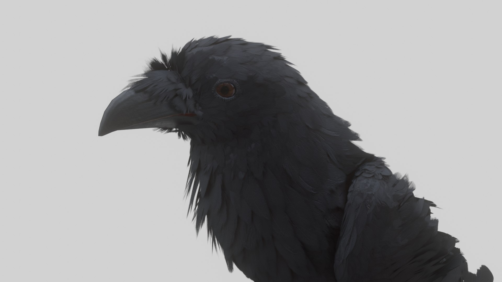 3D Raven Pbr Materials Animation Model - TurboSquid 1582275