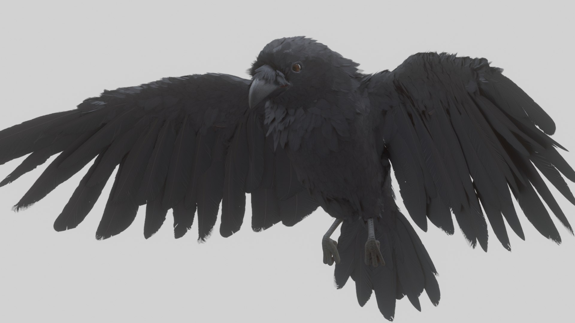 3D Raven Pbr Materials Animation Model - TurboSquid 1582275