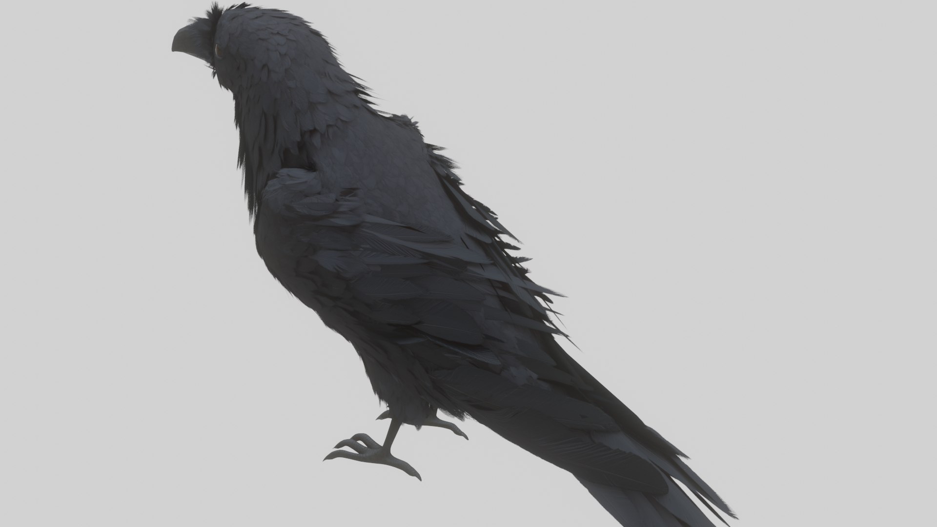 3D Raven Pbr Materials Animation Model - TurboSquid 1582275