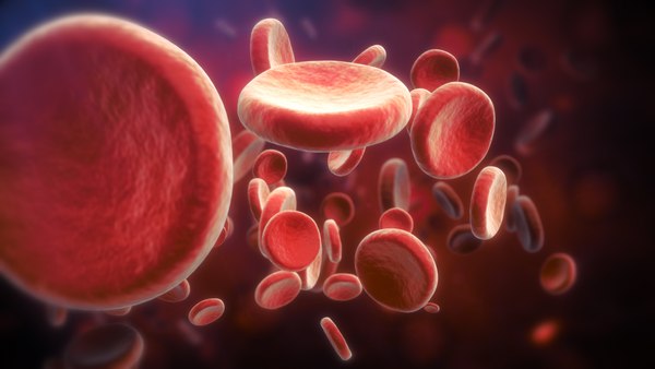 modelo 3d Red Blood Cells Animated Scene - TurboSquid 1941318