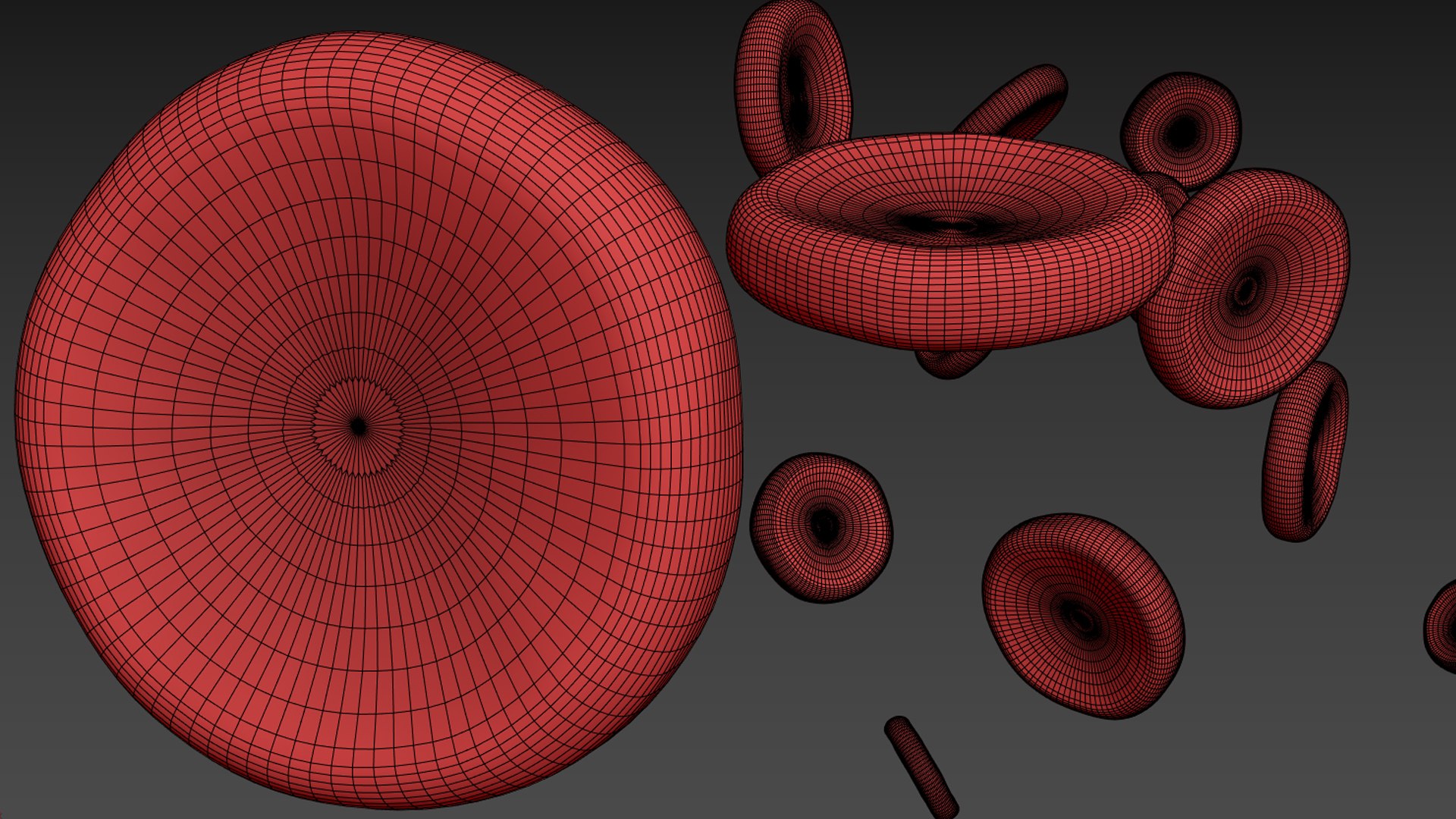 3D Red Blood Cells Animated Scene - TurboSquid 1941318