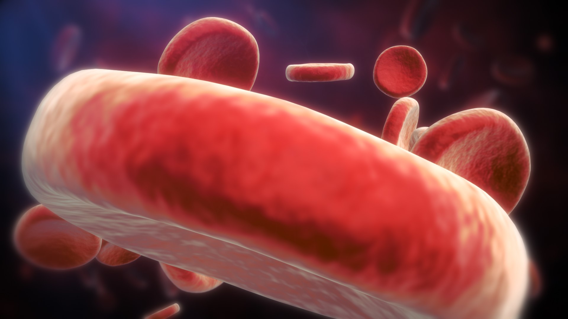 3D Red Blood Cells Animated Scene - TurboSquid 1941318