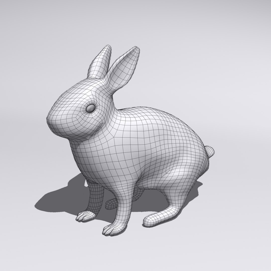 3d Rabbit Model
